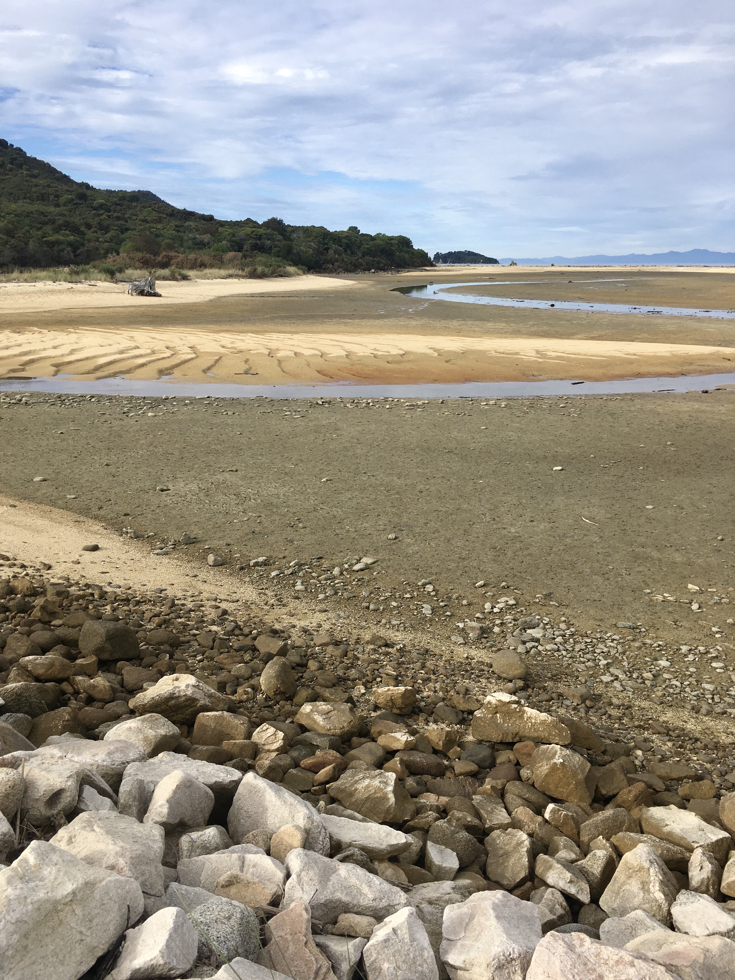 May; the coexistence of grief and love – Iona Winter
